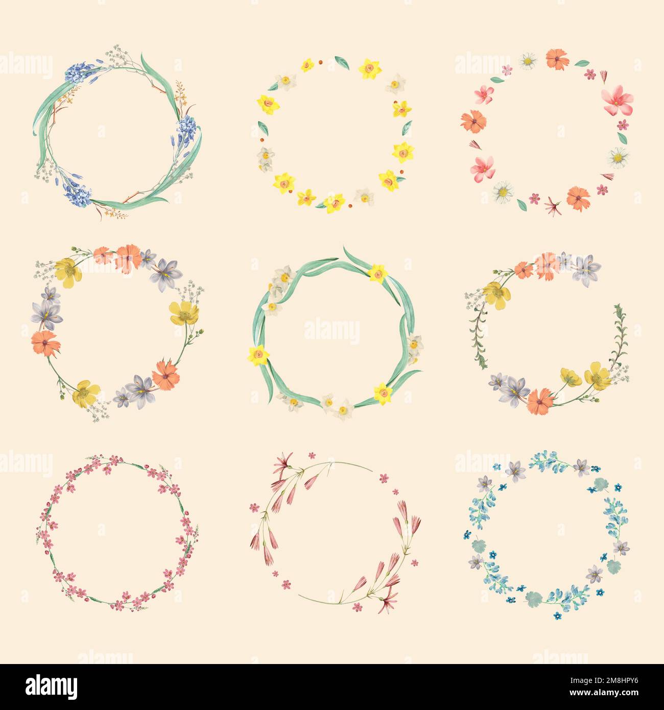 Round flowers frame mixed set vector Stock Vector Image & Art - Alamy