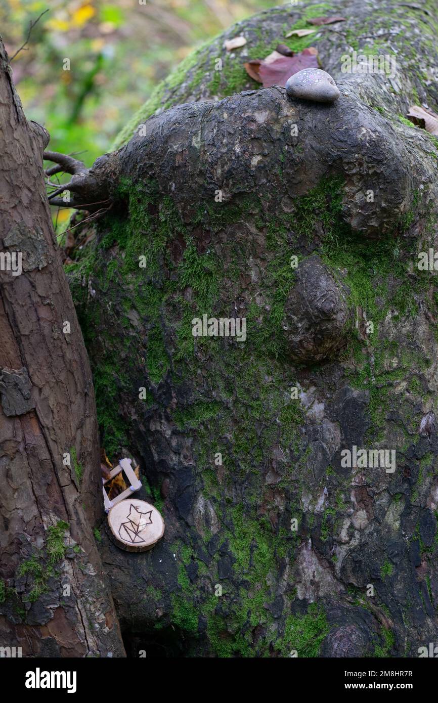 A vertical closeup shot of a trunk and a stone covered with moss, cat ...
