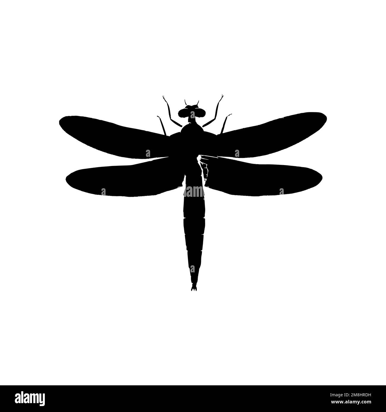 Dragonfly icon. Simple style beauty shop big sale poster background ...