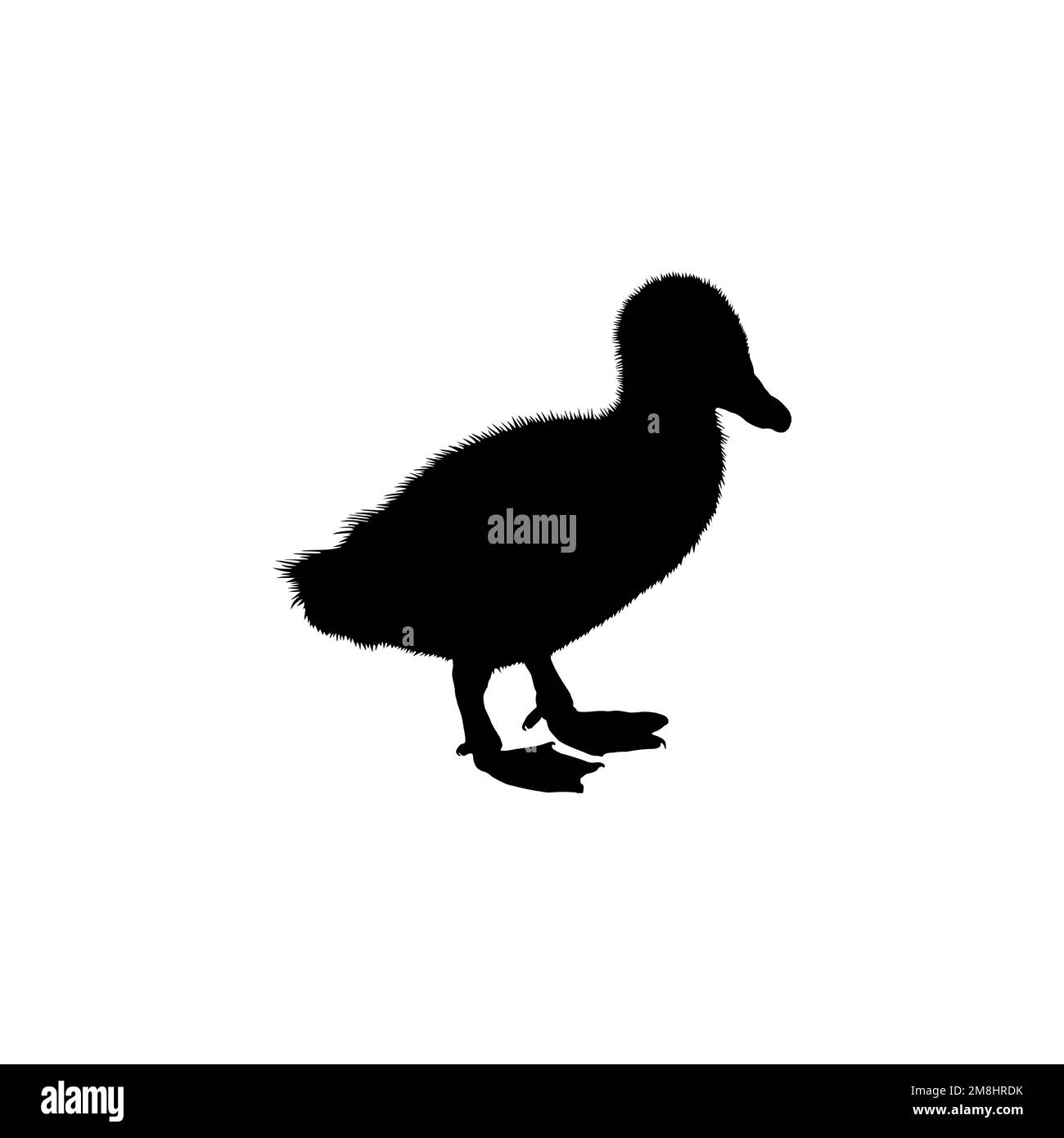Duck icon. Simple style zoological garden ticket big sale poster ...