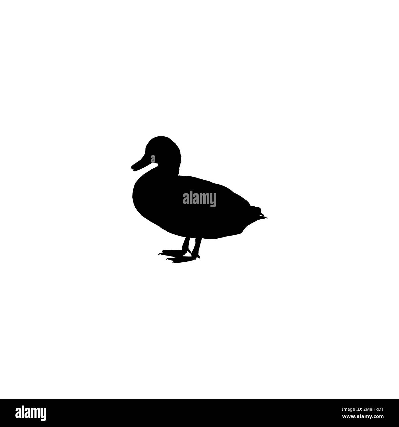 Duck icon. Simple style zoological garden ticket big sale poster ...