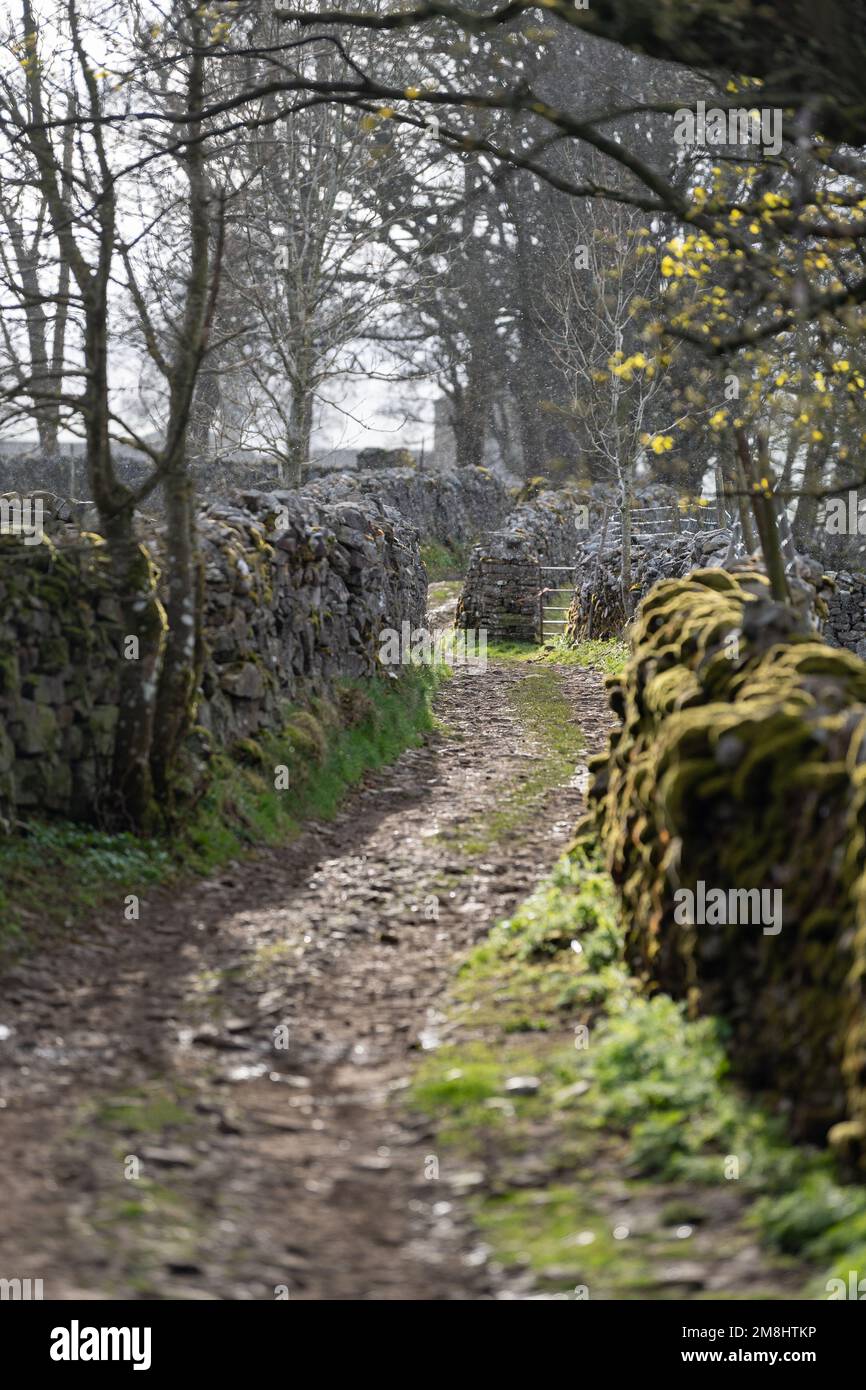 Ancient drystone walls hi-res stock photography and images - Alamy
