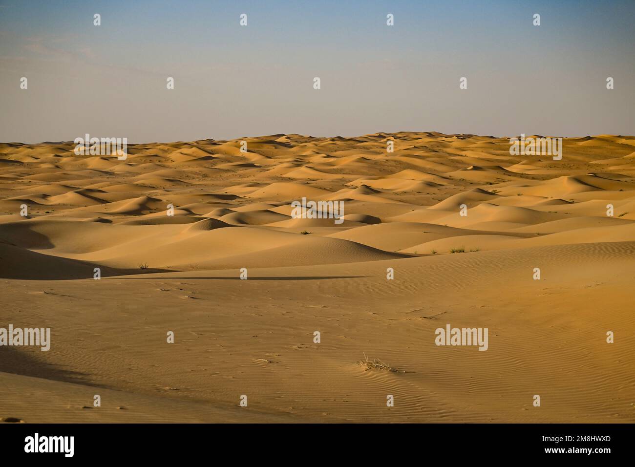Al-Hofuf, Saudi Arabia. 14th Jan, 2023. Dune, landscape during the ...