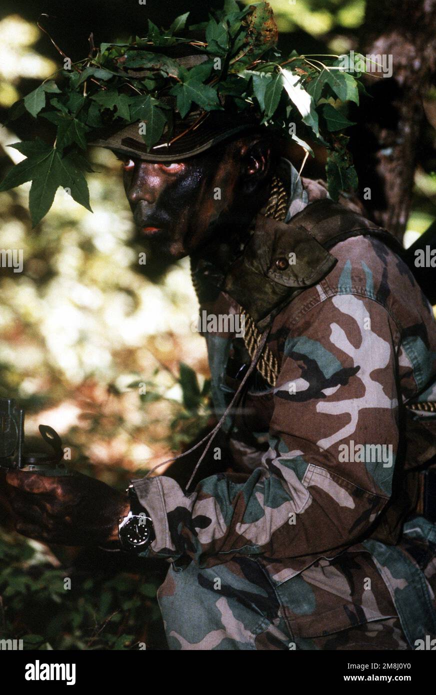 A reconnaissance Marines, wearing camouflage paint on his face and ...