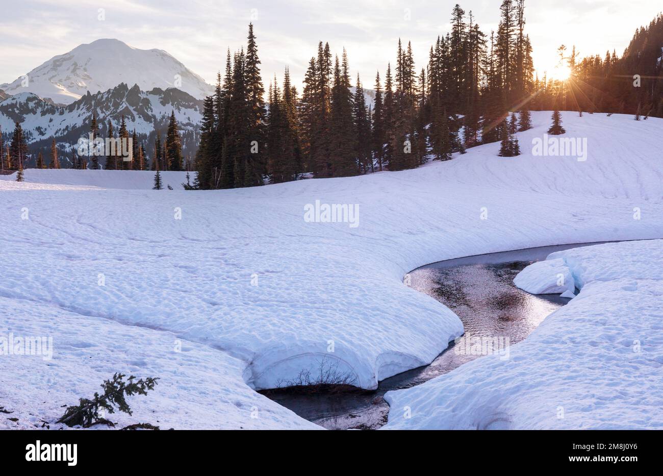 Mount Rainier national park at sunrise, USA, Washington Stock Photo - Alamy