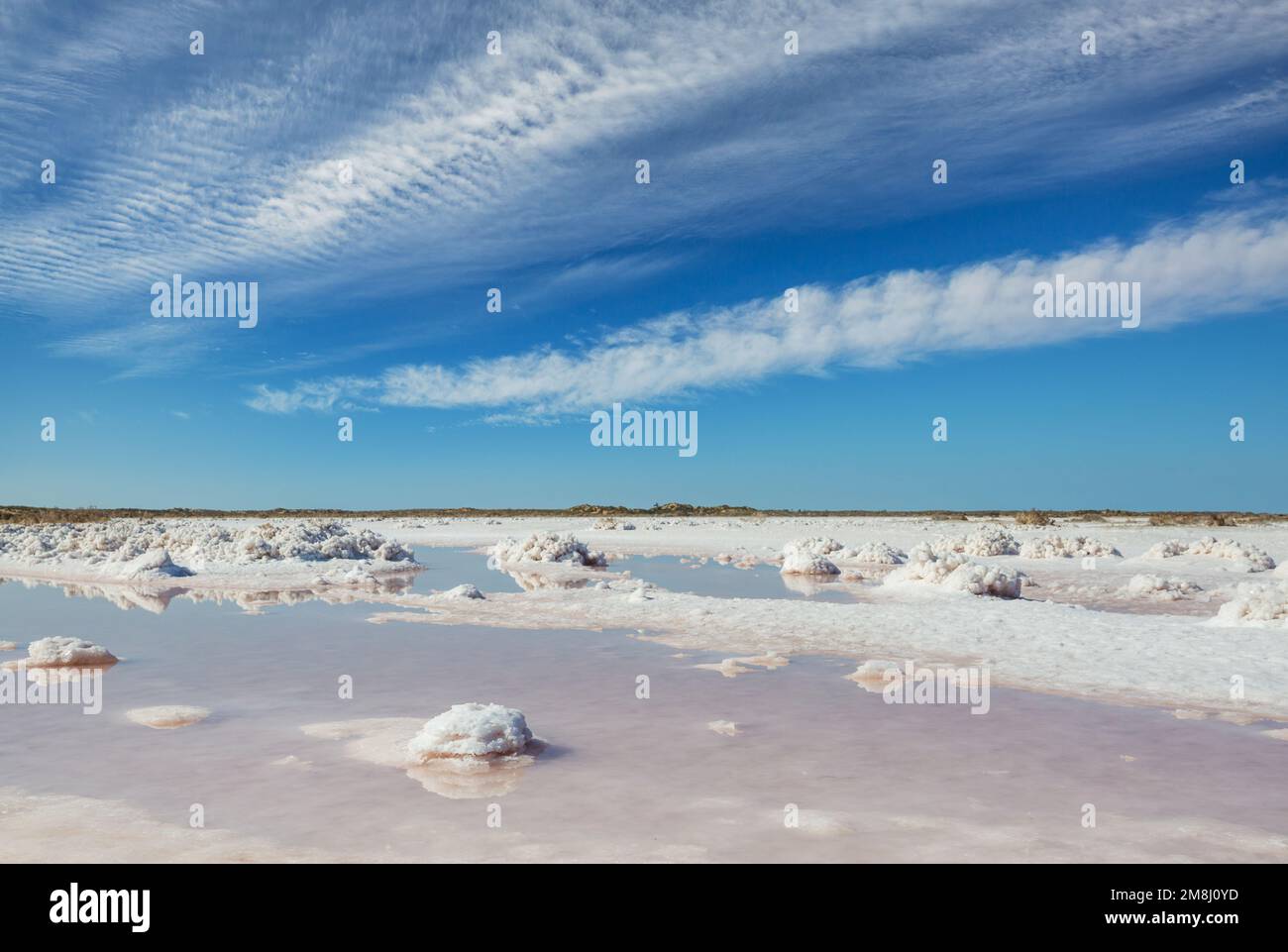 salt pond in the Baja California, Mexico Stock Photo - Alamy