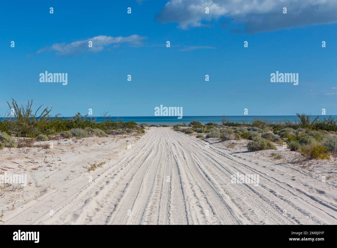 Beautiful natural landscapes in Baja California, Mexico Stock Photo - Alamy