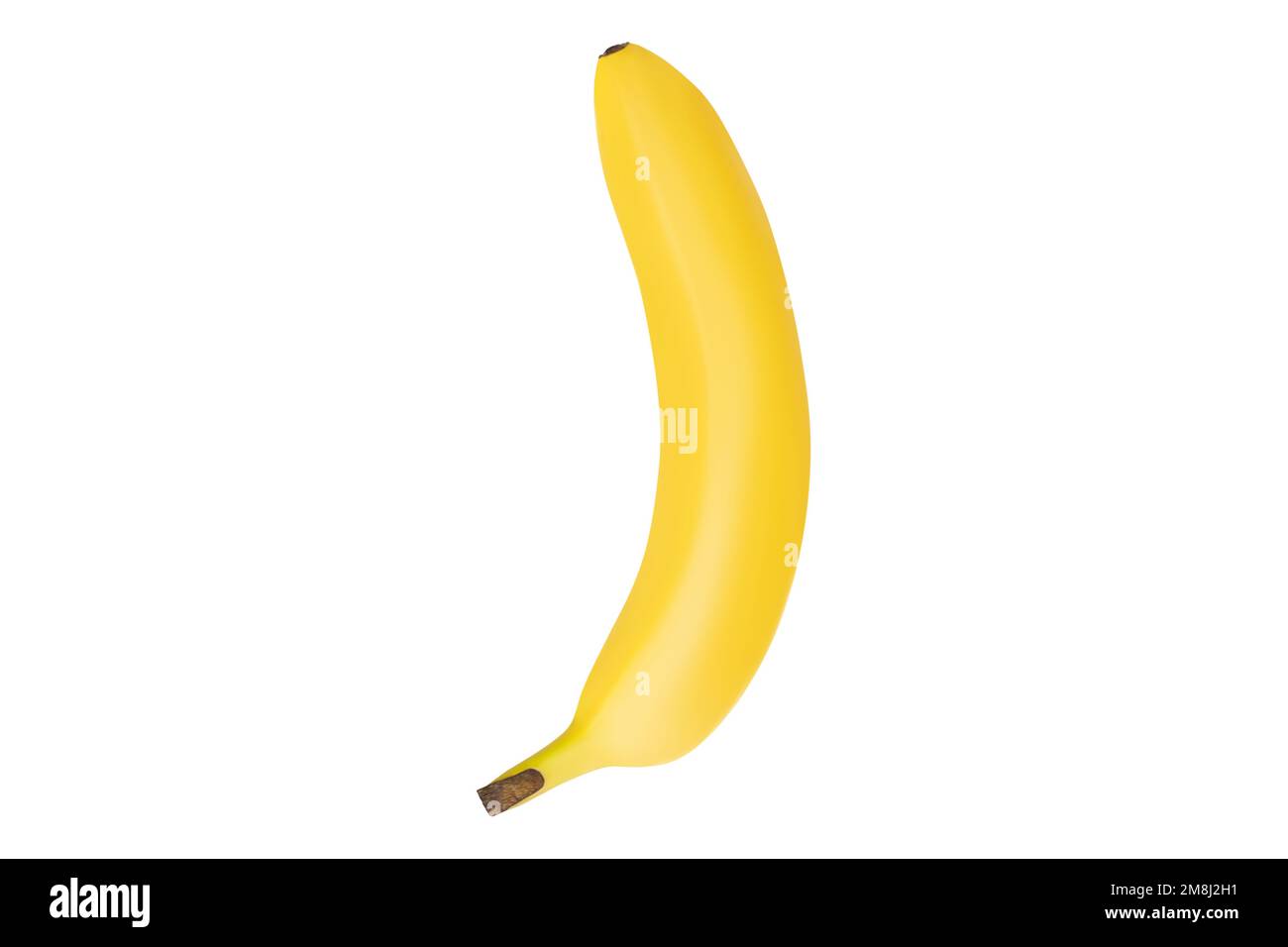 Banana tree and palm tree Cut Out Stock Images & Pictures - Alamy