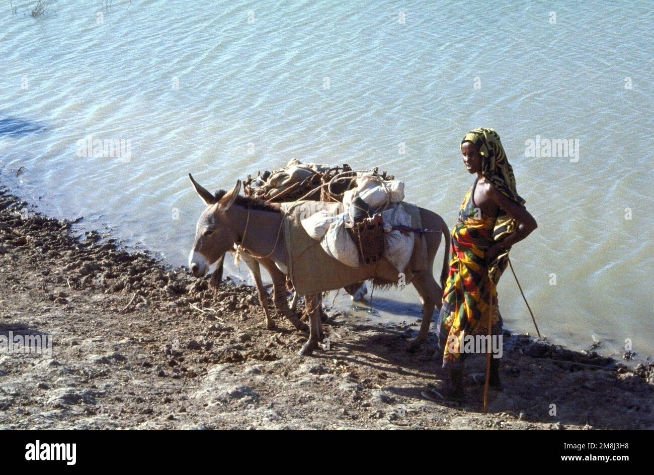 A Somali woman and her donkey by the water. Subject Operation/Series ...