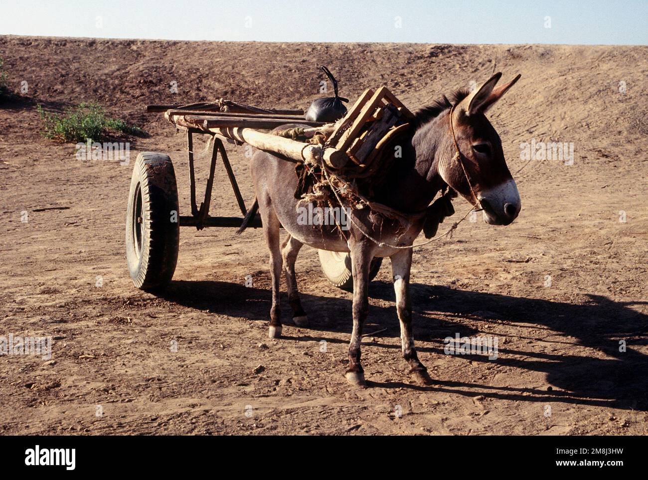A donkey cart in the village. Subject Operation/Series: CONTINUE HOPE ...