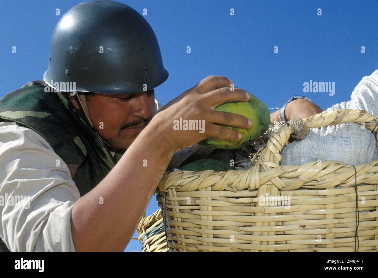 A Moroccan soldier searches through a basket of food on the back of a ...