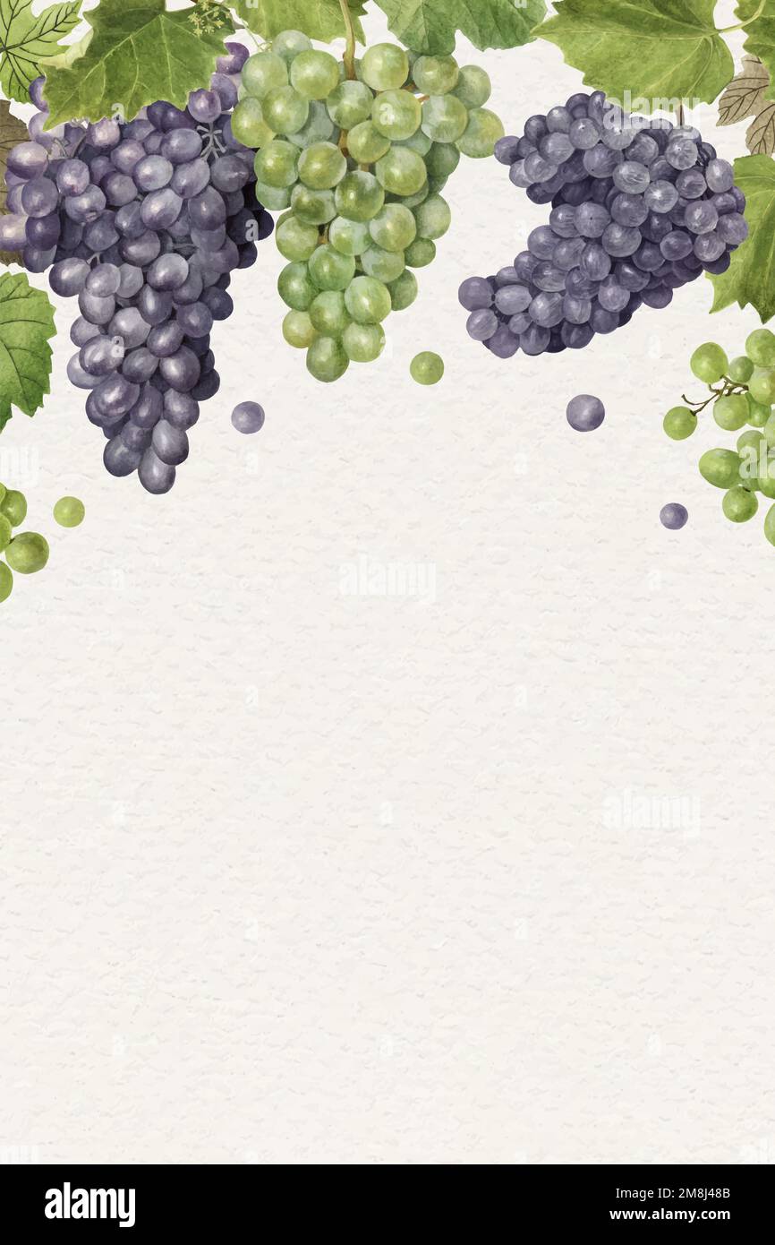 Hand drawn natural fresh grape frame vector Stock Vector Image & Art ...