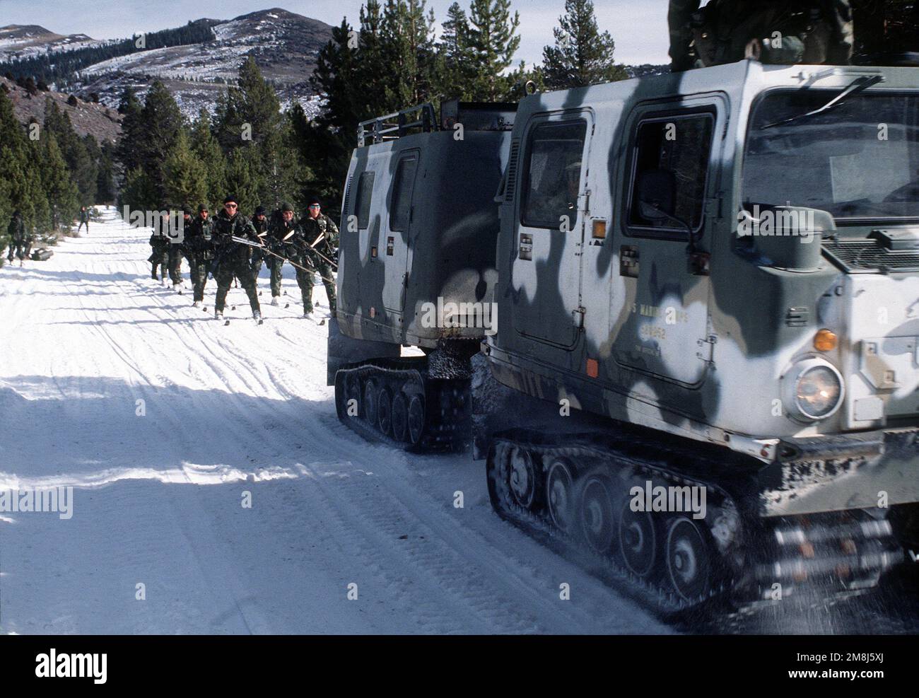 A Bv 206 All Terrain Carrier, better known as an M973 Small Unit Support Vehicle (SUSV) pulls a ...