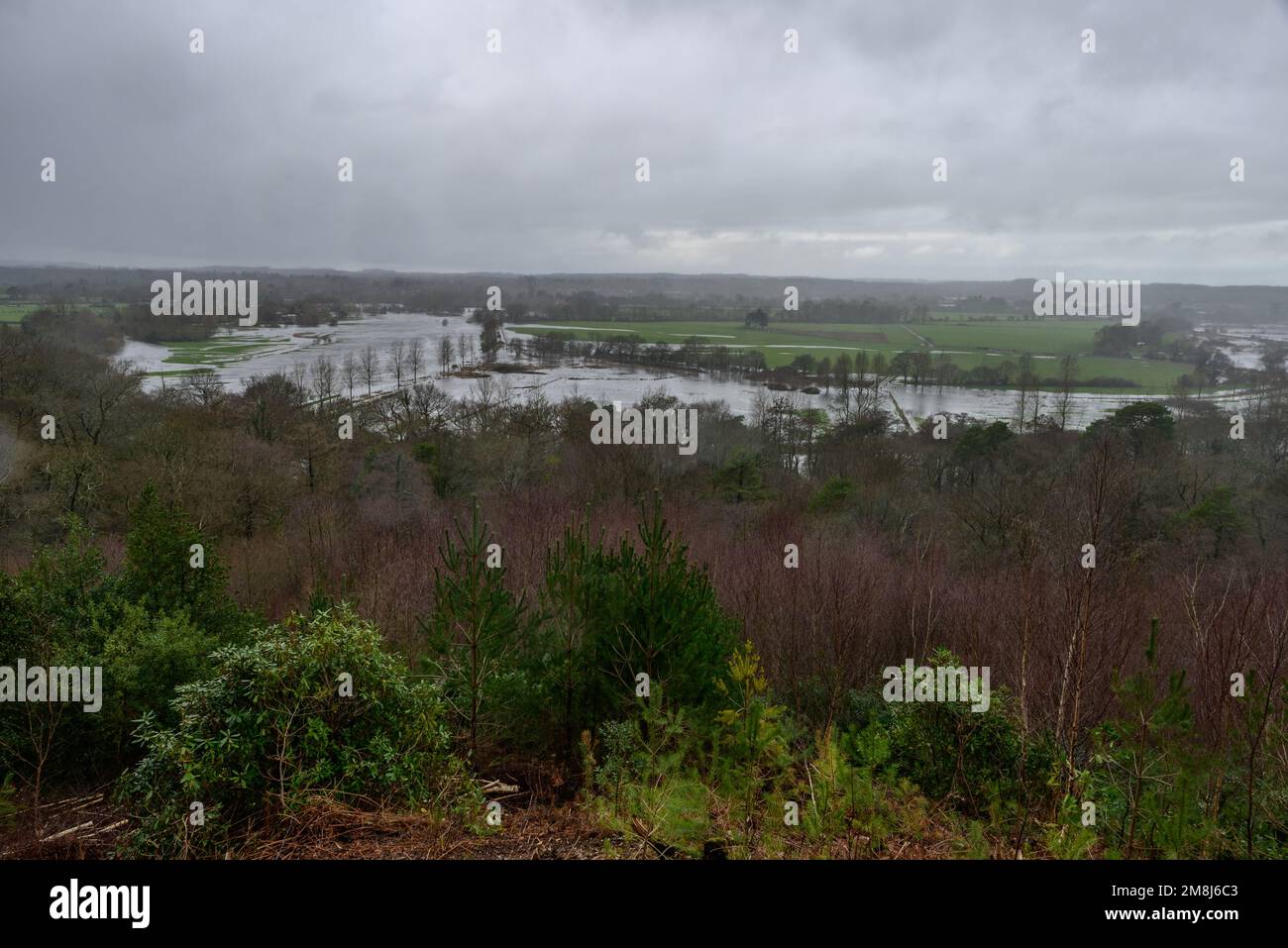Avon Valley, Fordingbridge, Hampshire, UK, 14th January 2023, Weather ...