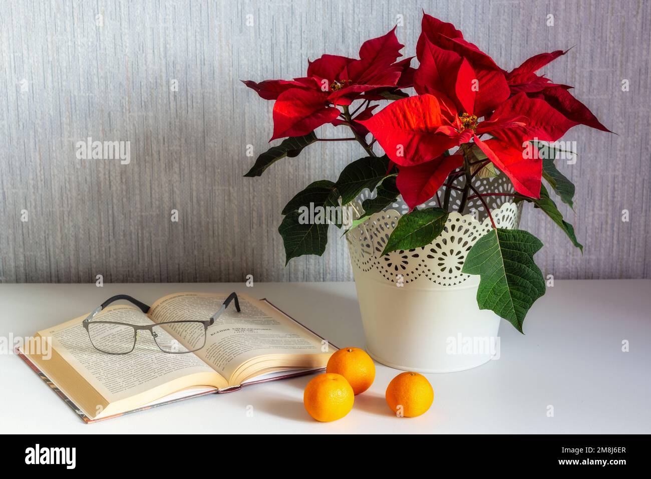 Open shackle hi-res stock photography and images - Alamy