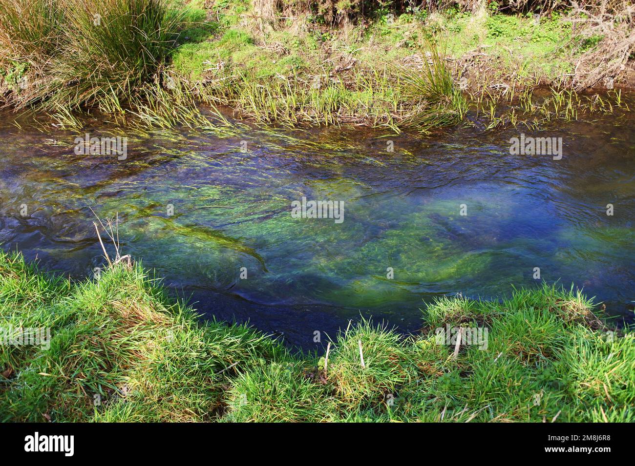 Stream creek water flow flowing day sunny sunshine nature grass hi-res ...