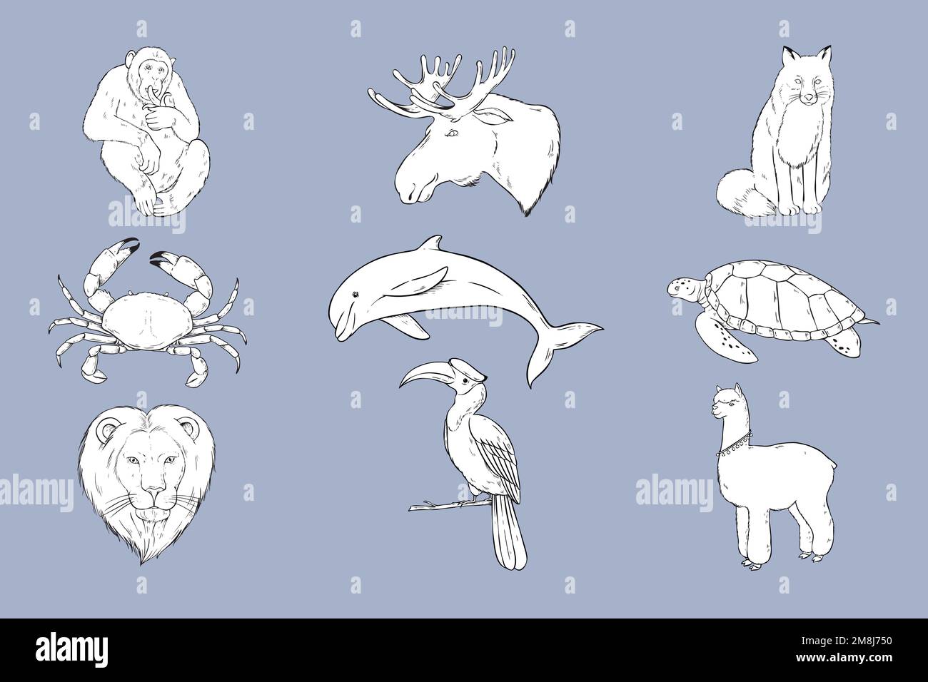 Hornbill bird clipart hi-res stock photography and images - Alamy