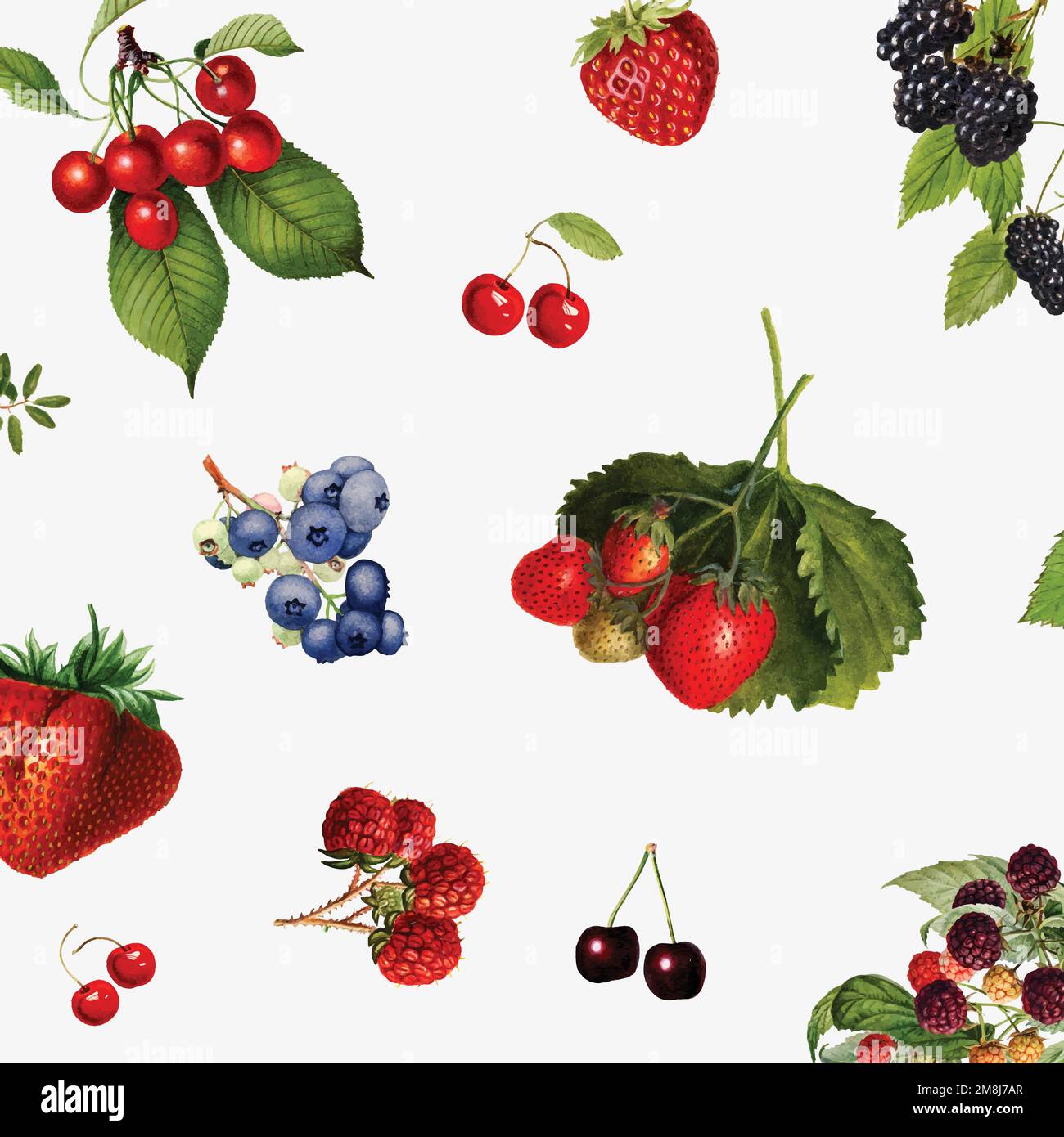 Hand drawn mixed berries on a gray background vector Stock Vector Image ...