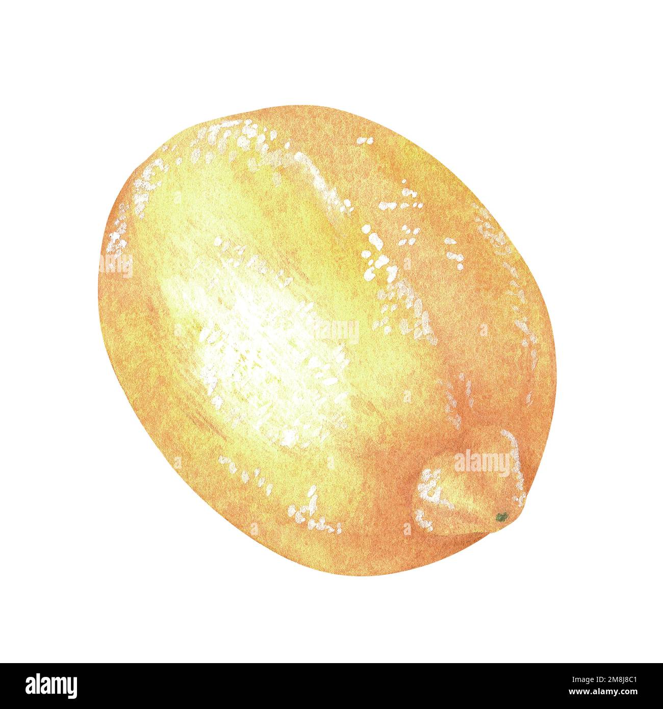 Yellow lemon with peeled side. Grate the zest. Watercolor illustration ...
