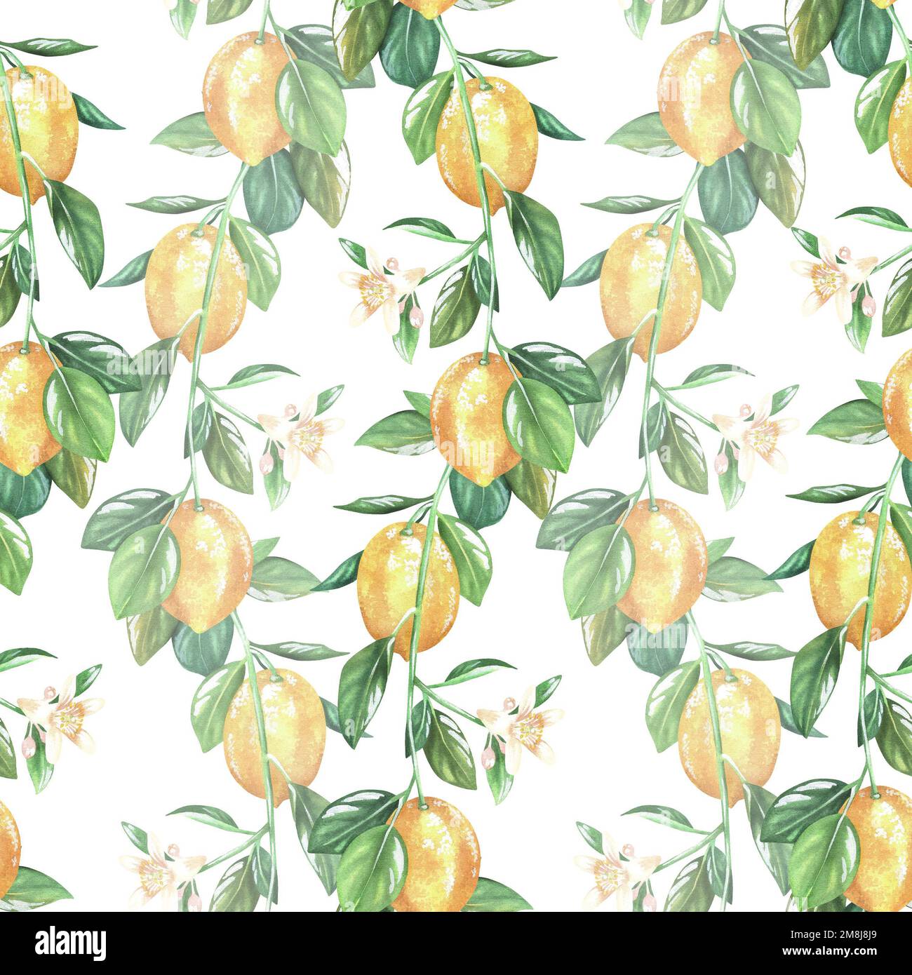 Seamless pattern of lemon sprig with flowers. Vertical thickets of an ...