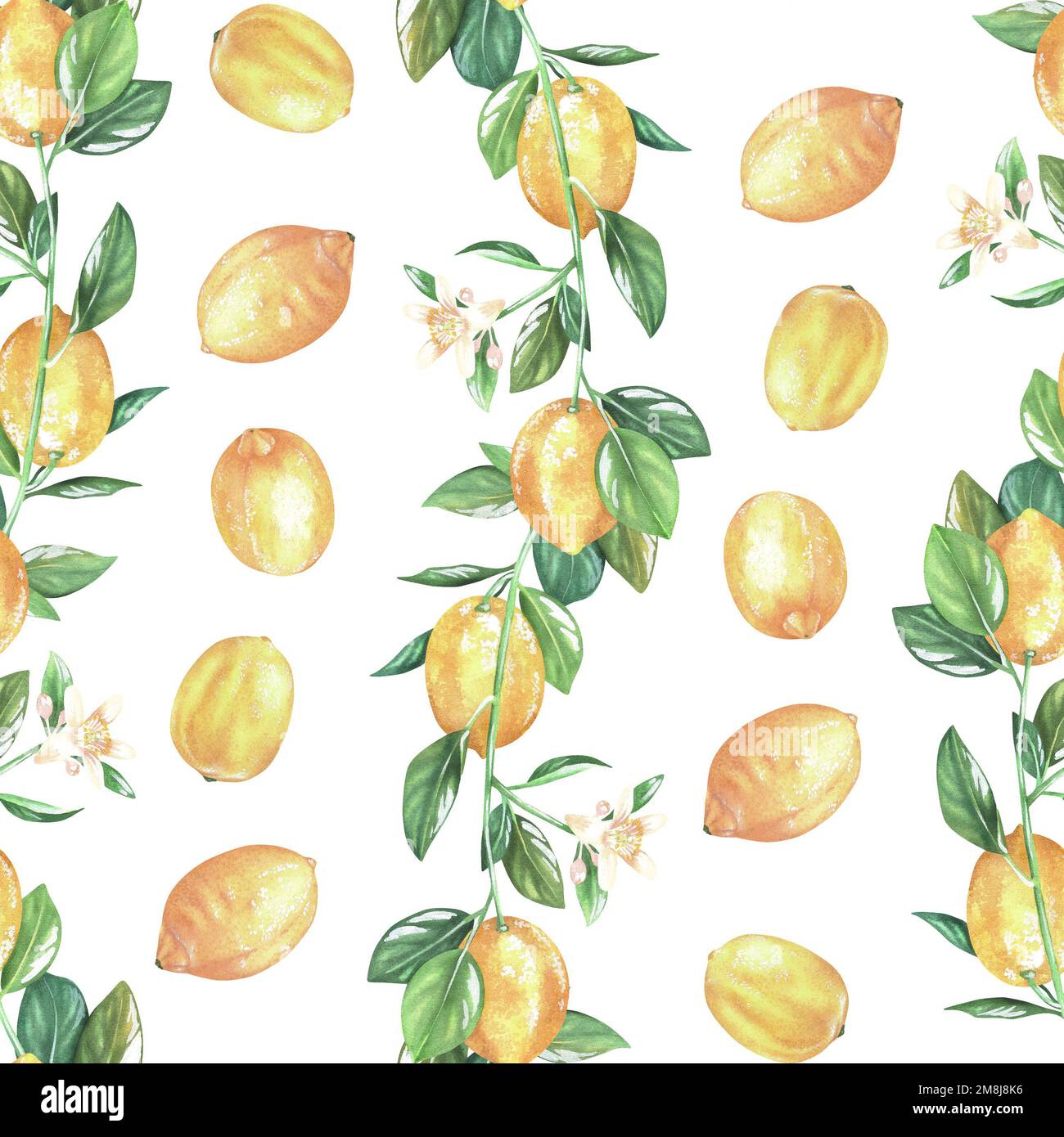 Seamless pattern of lemon sprig with flowers. Vertical thickets of an ...