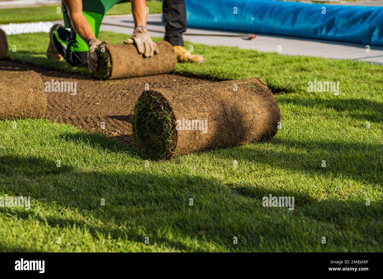 Natural Grass Turfs Rolling Over Inside Residential Backyard ...
