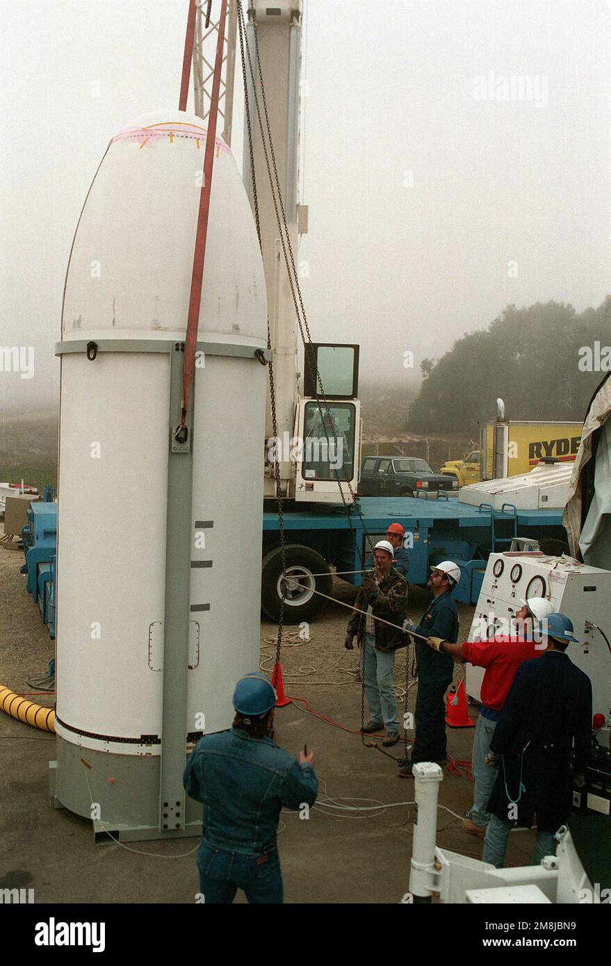 Mating system hi-res stock photography and images - Alamy
