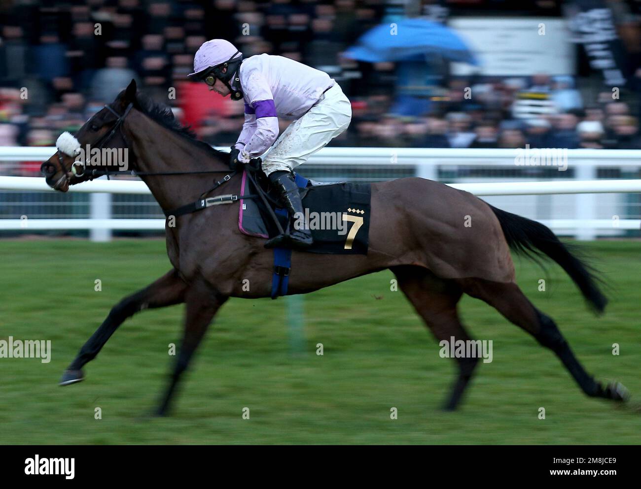 National hunt race 2023 hi-res stock photography and images - Alamy