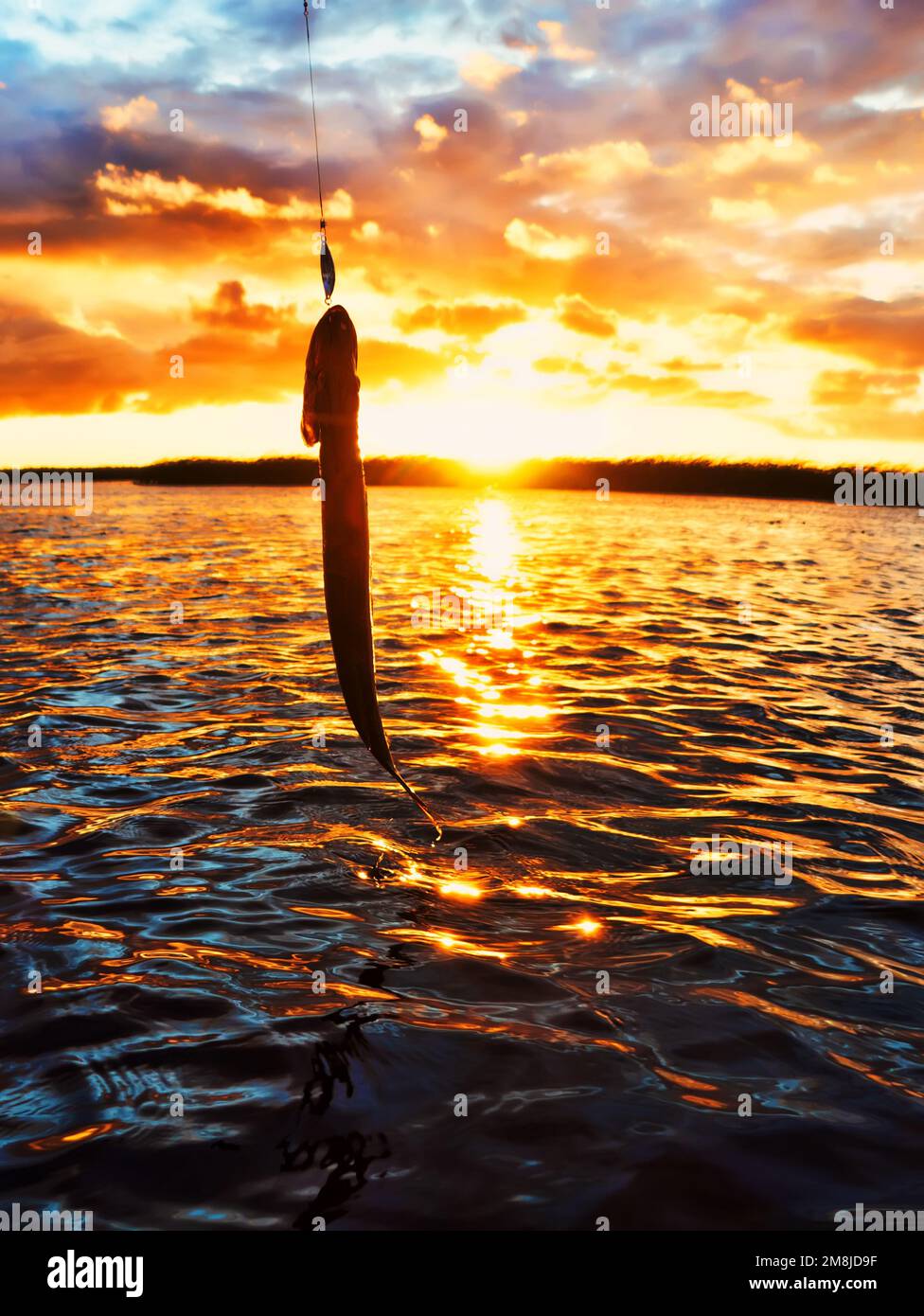 Fishing at sunset. Catching predatory fish on spinning. Sunset colors ...
