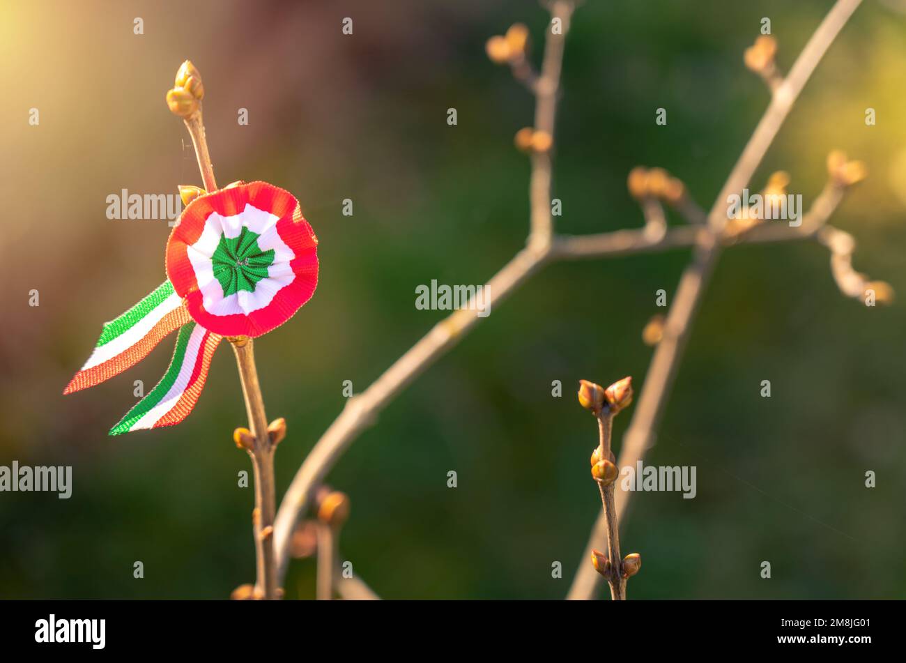 Hungarian spirit on national holiday 15th march with rosette pin and ...