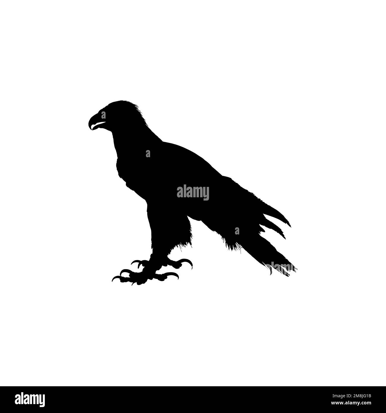 Eagle icon. Simple style eagle theme poster background symbol. Eagle ...