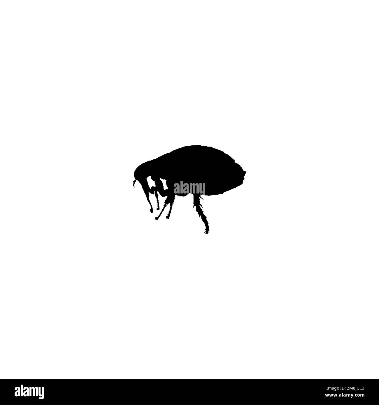 Flea icon. Simple style insect spraying company poster background ...