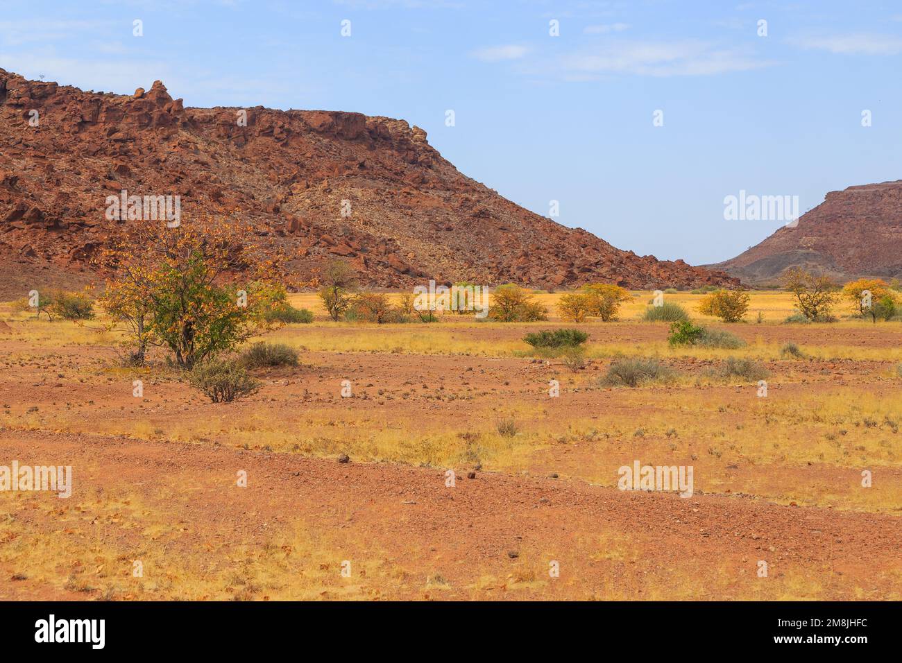 Namibian landscape, red ground and African vegetation around ...
