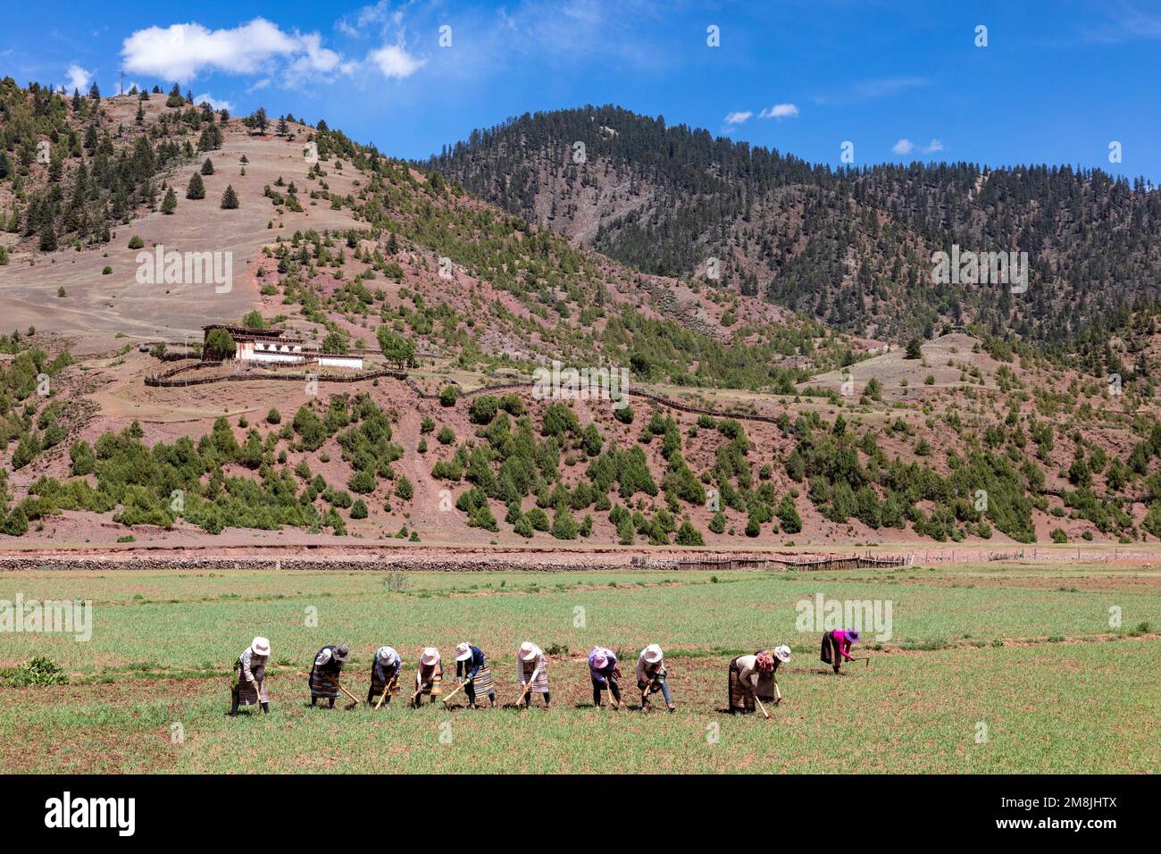 Tibet´s hi-res stock photography and images - Alamy