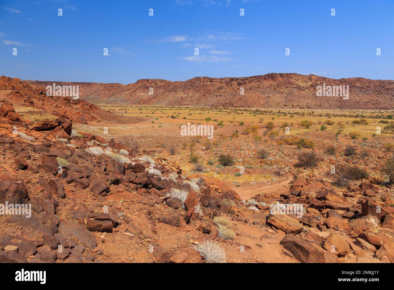 Namibian landscape, red ground and African vegetation around ...