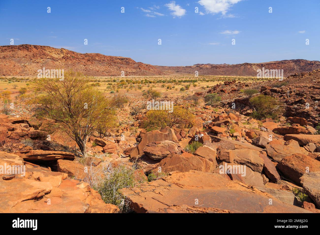 Namibian landscape, red ground and African vegetation around ...