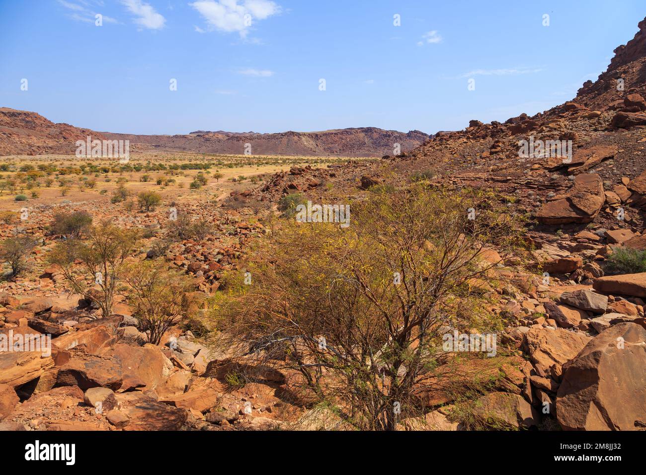 Namibian landscape, red ground and African vegetation around ...