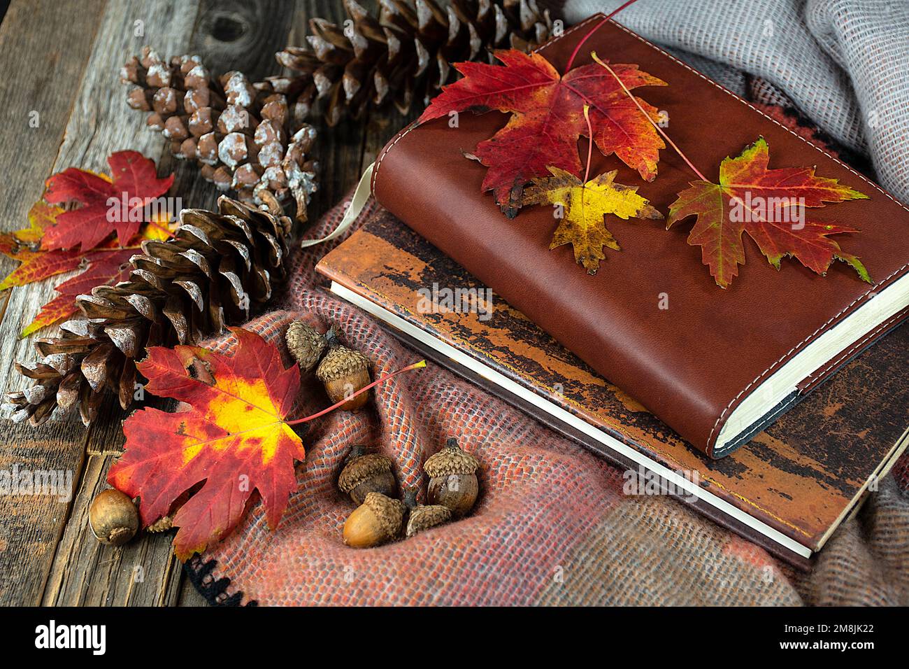 Brown leather journal with a book, acorns, pine cones, and autumn ...