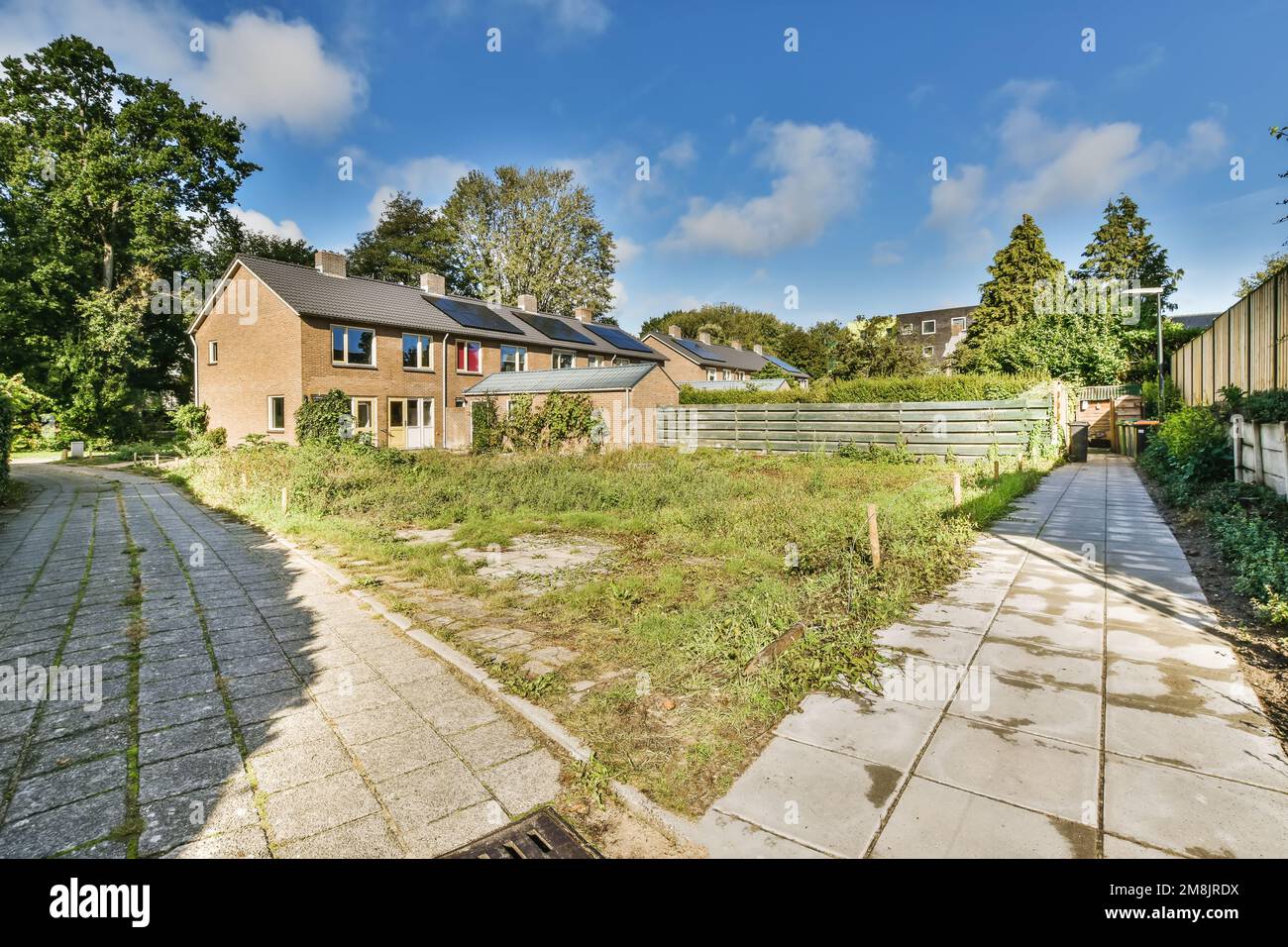 an empty yard in the middle of a residential area with trees and bushes ...