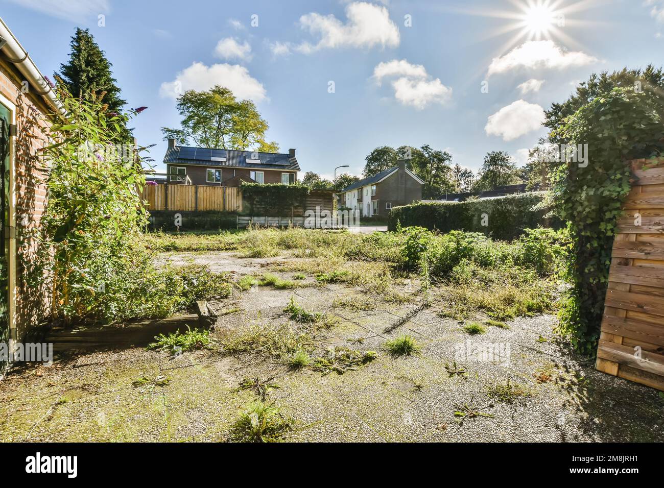 an overgrown backyard area with trees and bushes in the foreground ...