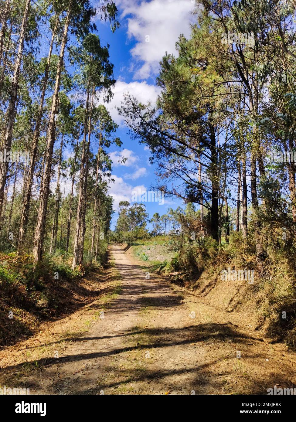 landscapes of pilgrimage camino de santiago Stock Photo - Alamy