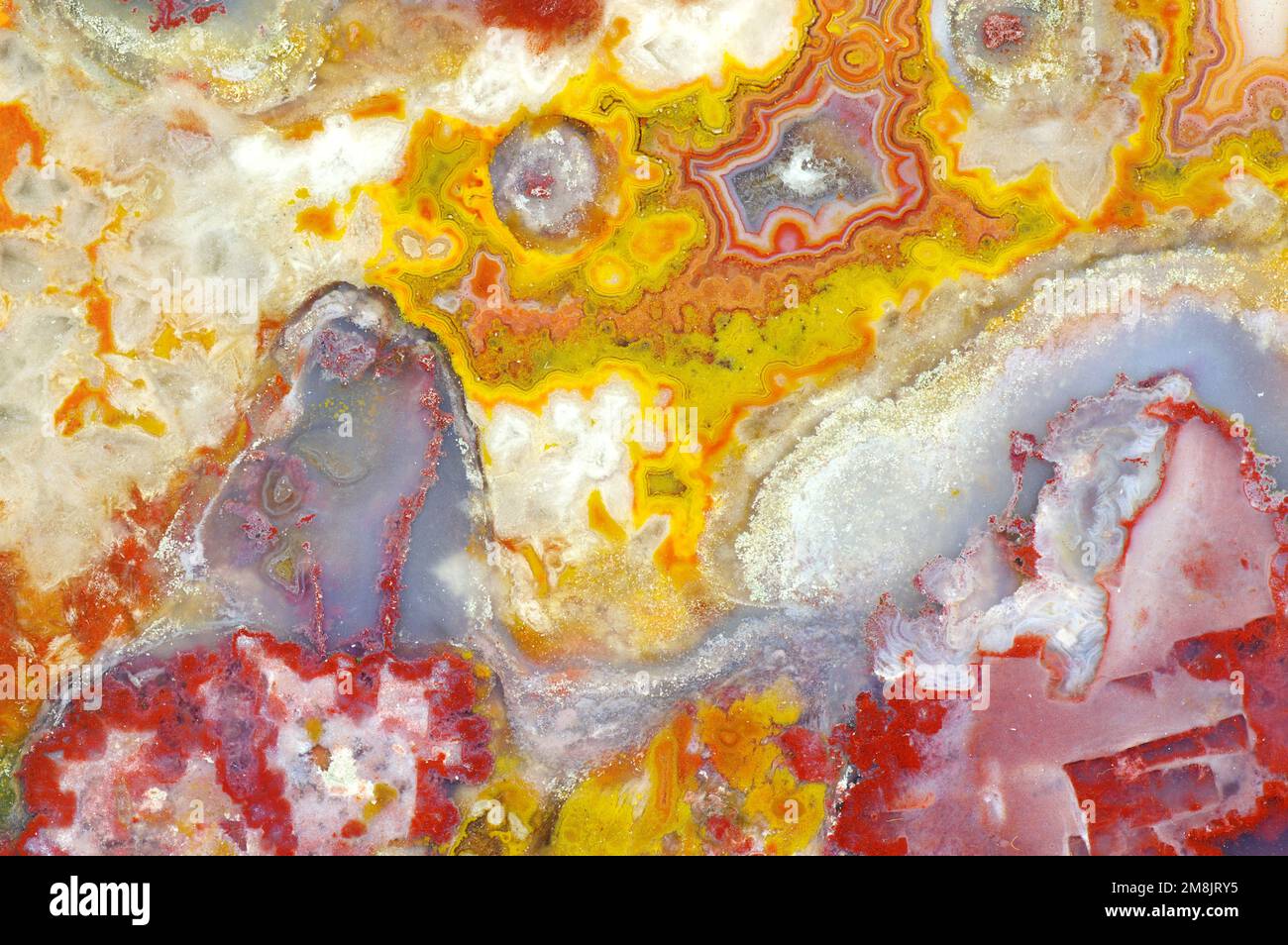 A cross section of the agate stone with quartz geode. Multicolored ...