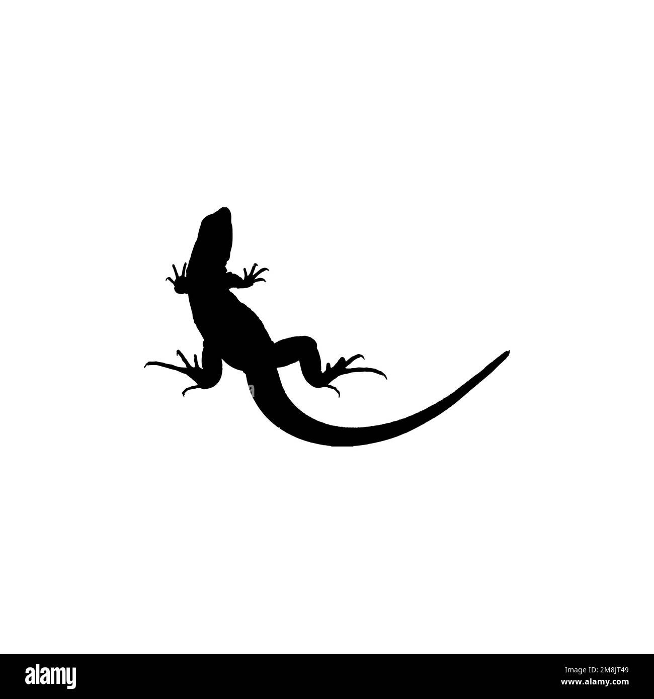 Gecko cut out Stock Vector Images - Alamy