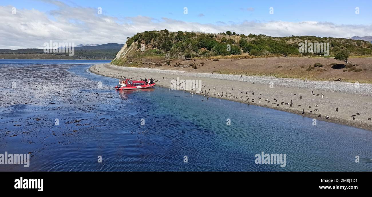 in the land of patagonia the nature and the wild Stock Photo - Alamy
