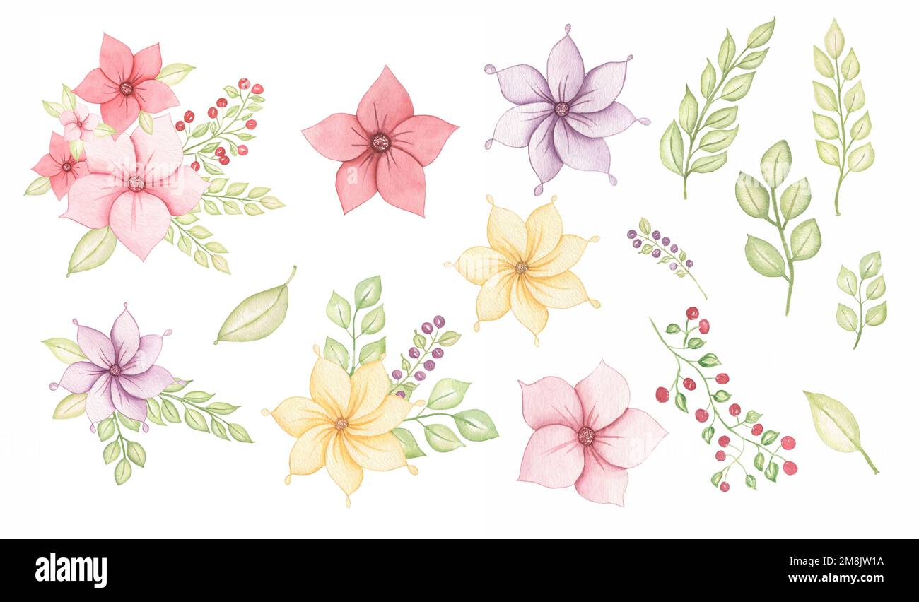 Delicate cute Flower set, Wildflowers Bouquet, greenery clipart ...