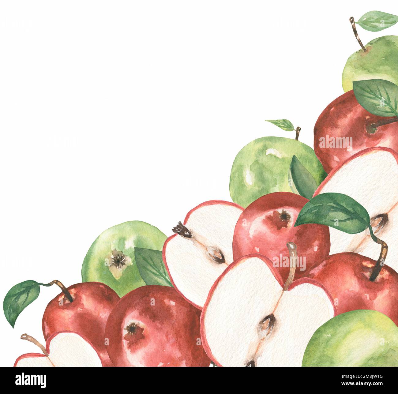 Apple Clipart, Watercolor Red and green Apple frame, Organic botanical ...