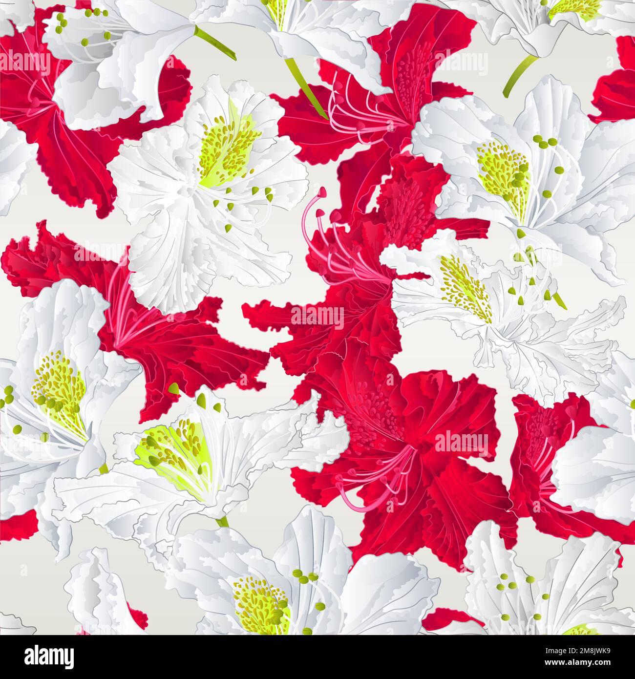 Seamless texture rhododendrons red and white flowers Mountain shrub ...
