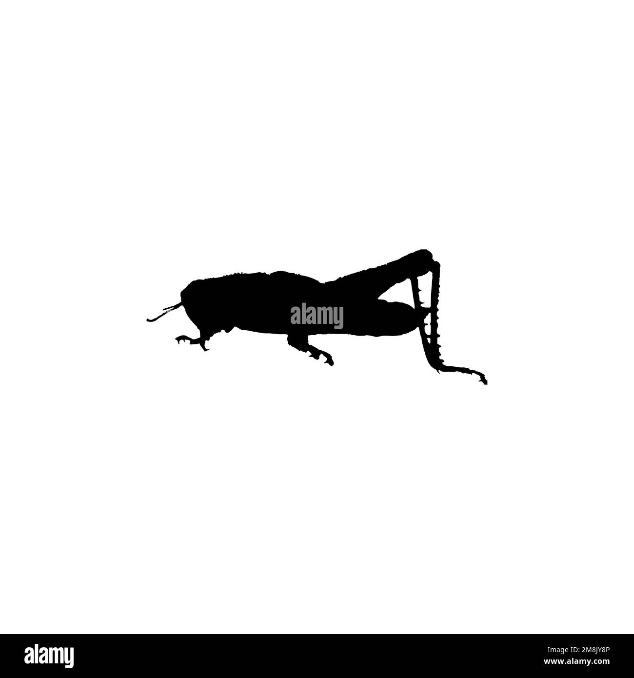 Grasshopper icon. Simple style insect science poster background symbol ...