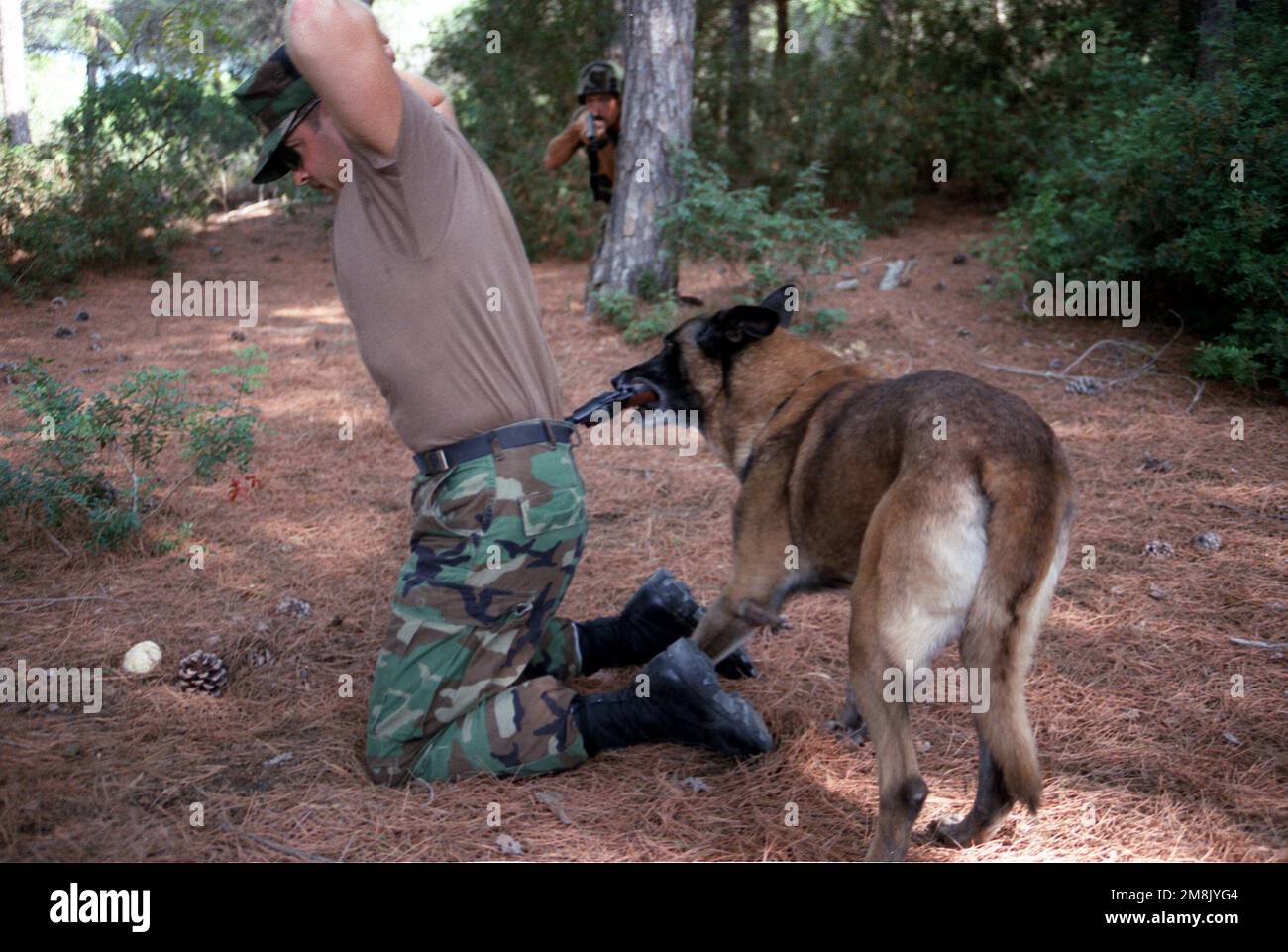 Rota Security Department's military working dog (MWD) unit's MASTER at ...