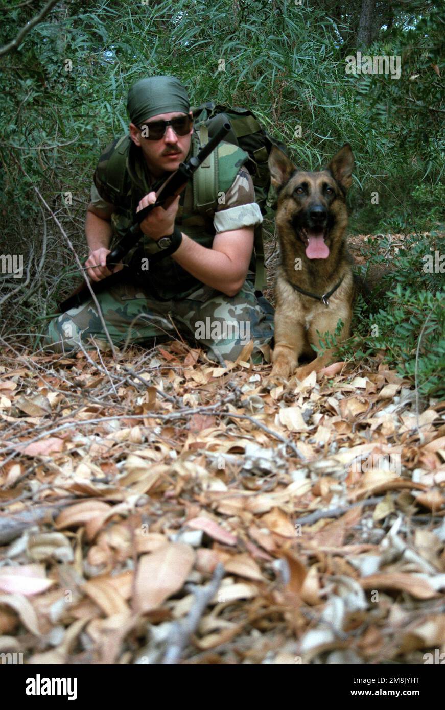 Rota Security Department's military working dog (MWD) member MASTER at ...
